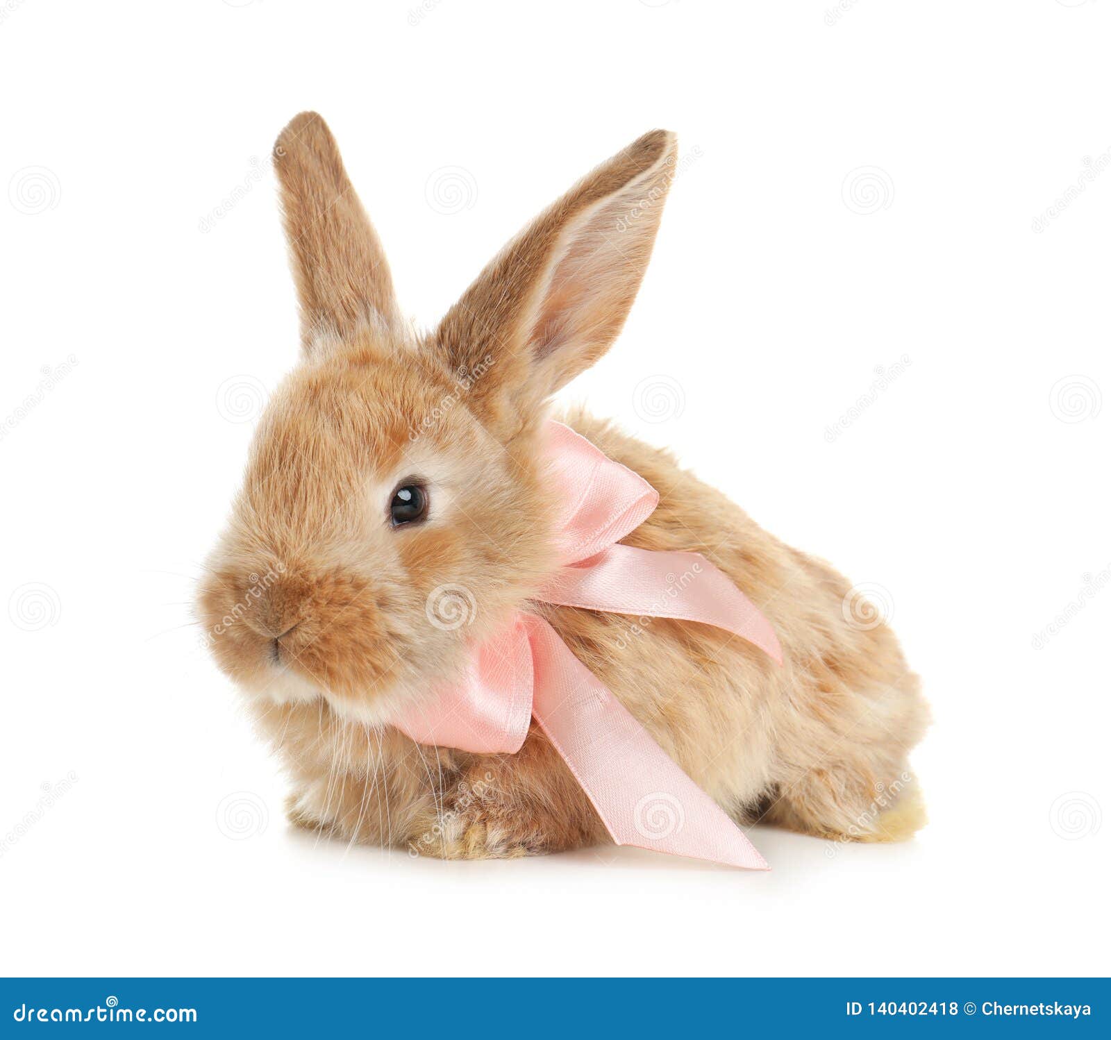 Adorable Furry Easter Bunny with Cute Bow Tie Stock Photo - Image of ...