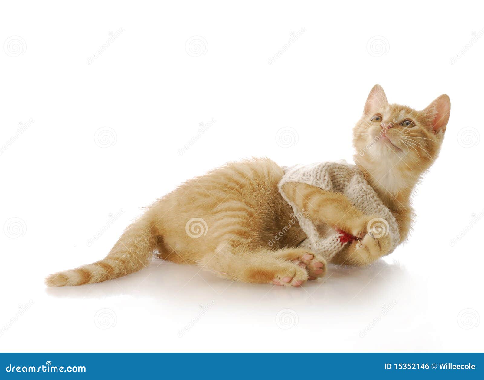 2,673 Body Laying Down Stock Photos - Free & Royalty-Free Stock Photos ...