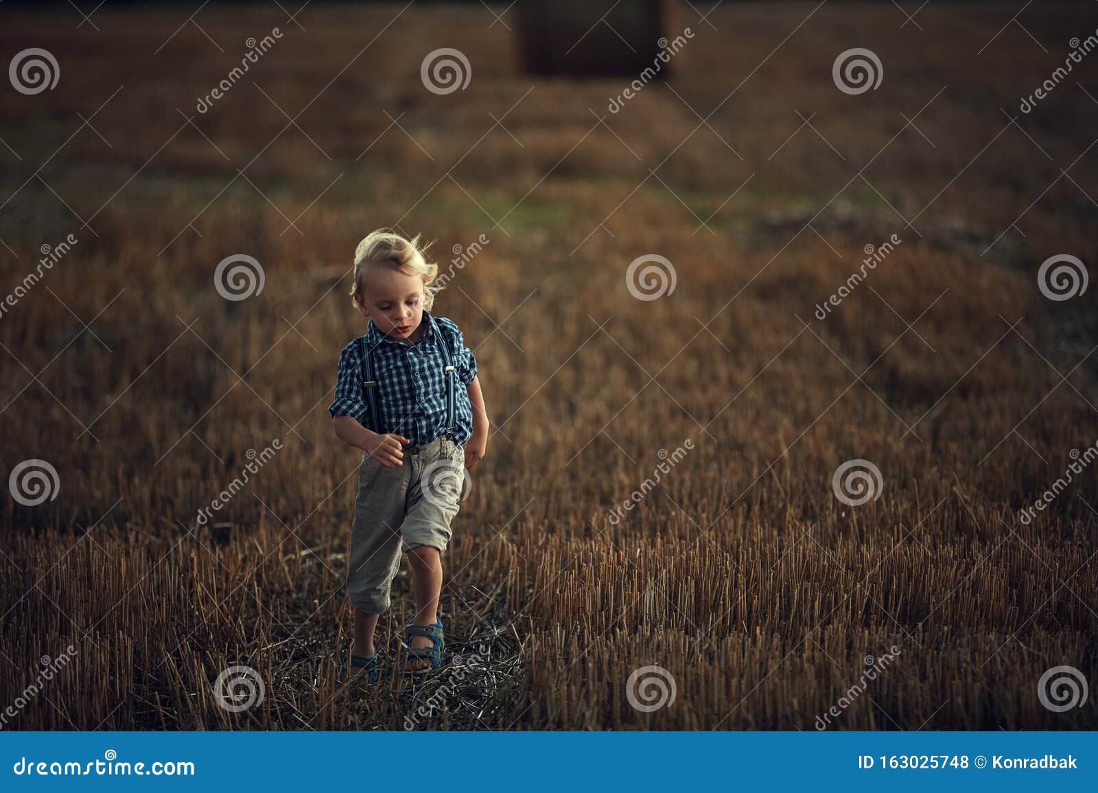 Adorable Little Boy Running on the Corn Field Stock Photo - Image of ...