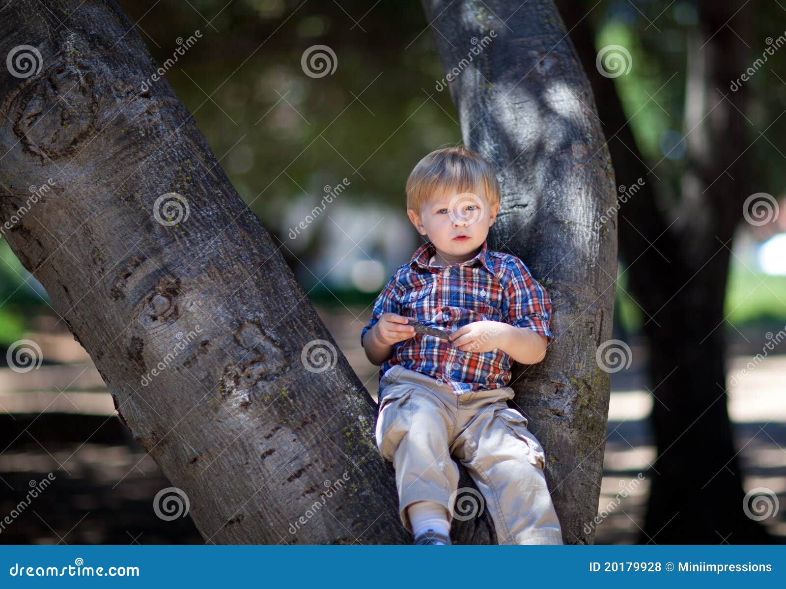 Adorable Little Boy Sitting on a Tree in a Park Stock Photo - Image of ...