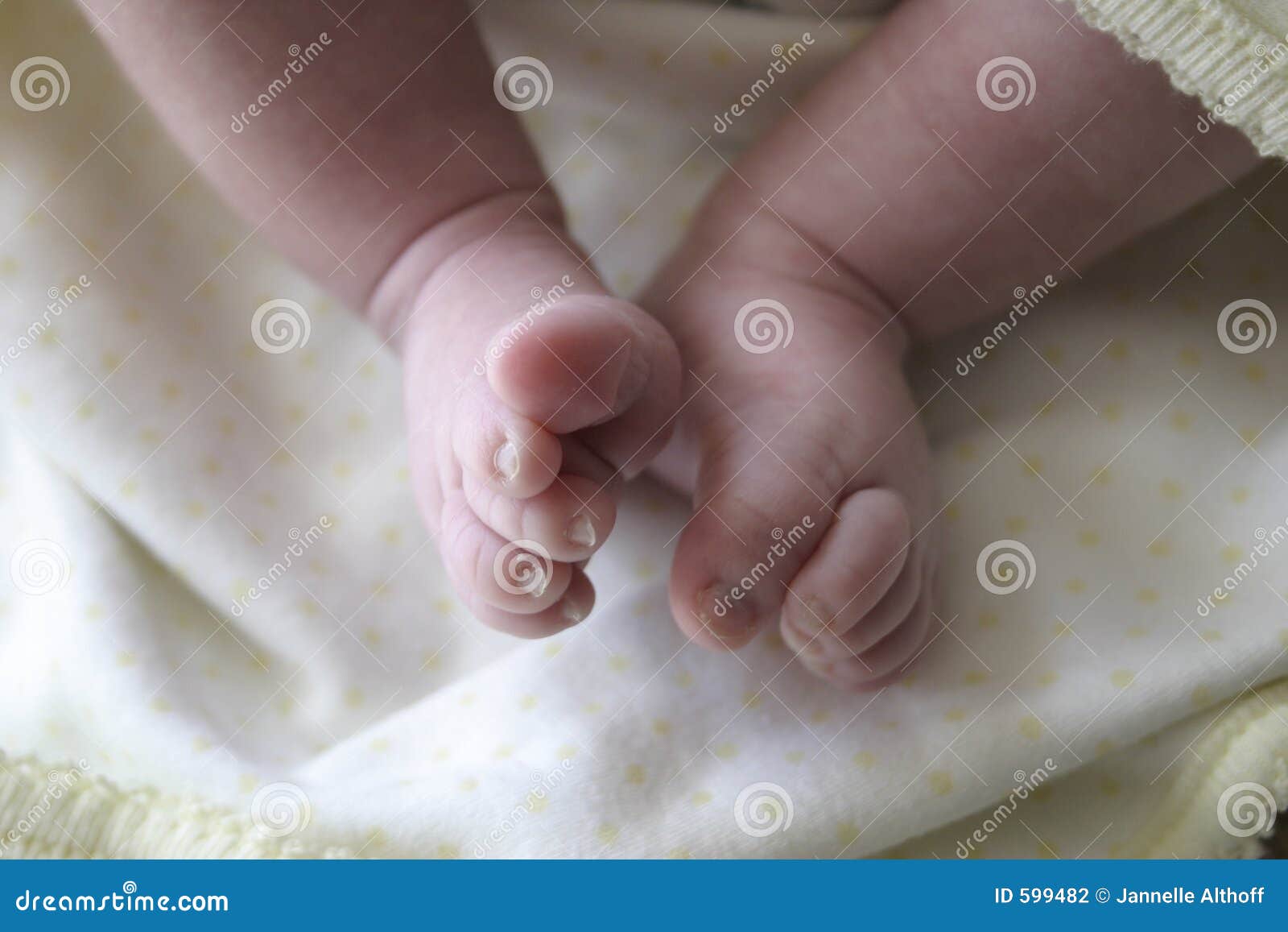 Adorable newborn toes stock photo. Image of pure, toddler - 599482