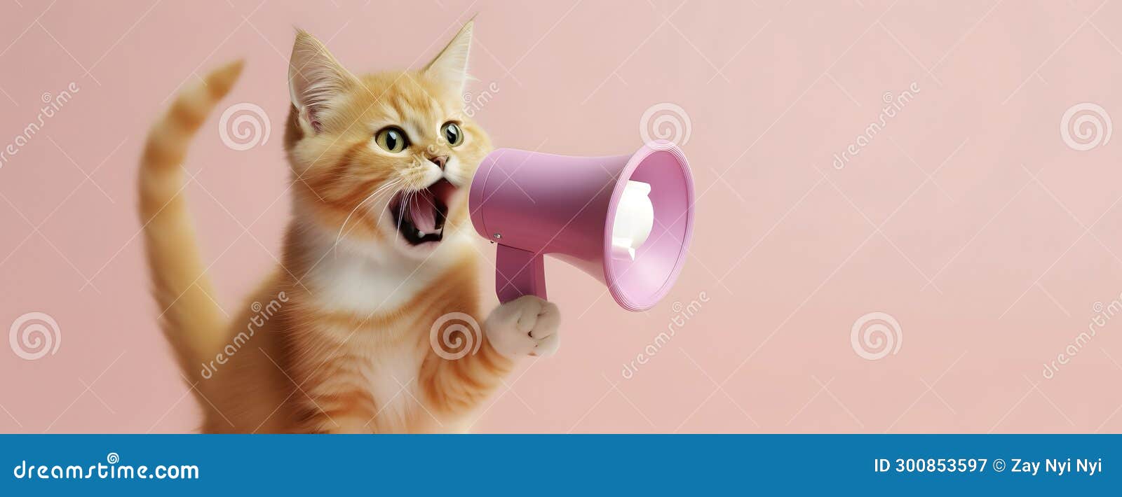 Cat Announcing Using Megaphone. Notifying, Warning, Announcement Stock ...
