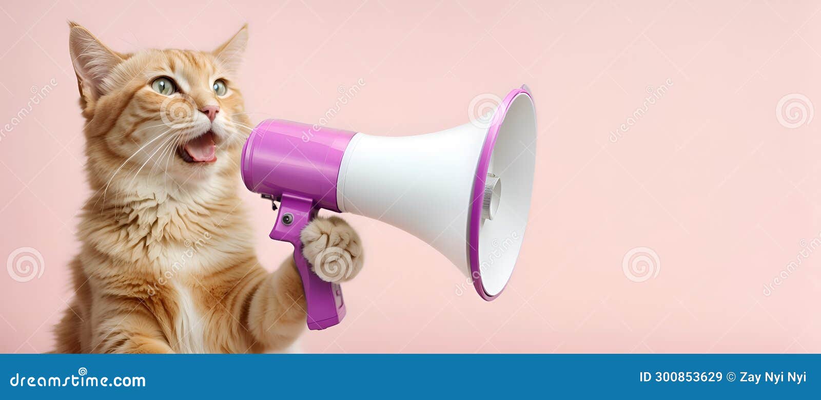 Cat Announcing Using Megaphone. Notifying, Warning, Announcement Stock ...