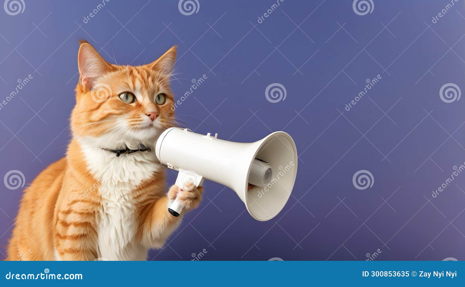 Cat Announcing Using Megaphone. Notifying, Warning, Announcement Stock ...