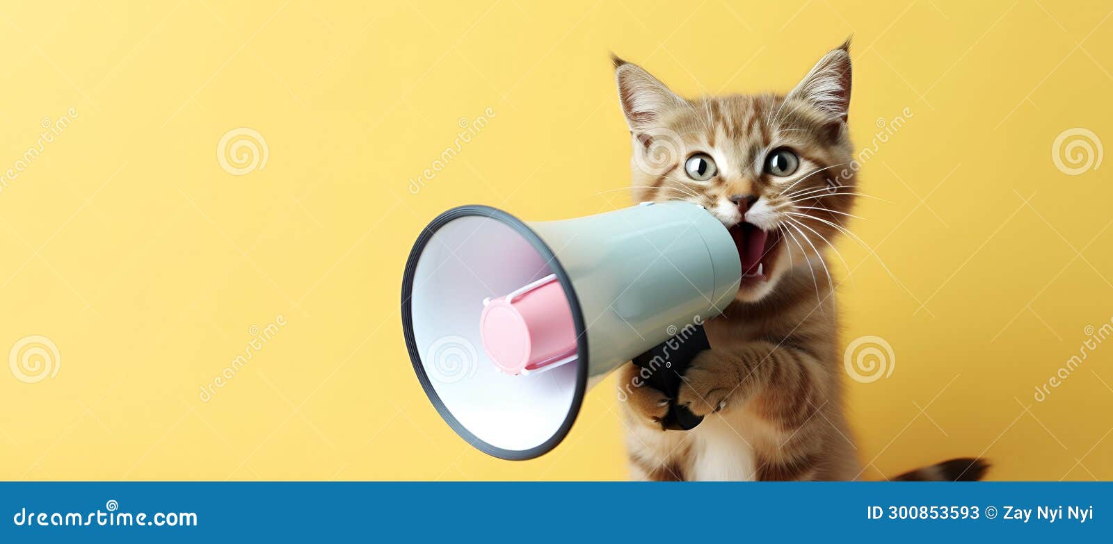 Cat Announcing Using Megaphone. Notifying, Warning, Announcement Stock ...