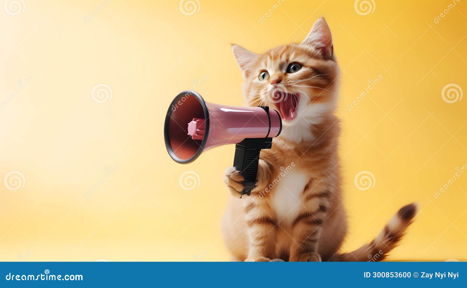 Cat Announcing Using Megaphone. Notifying, Warning, Announcement Stock ...
