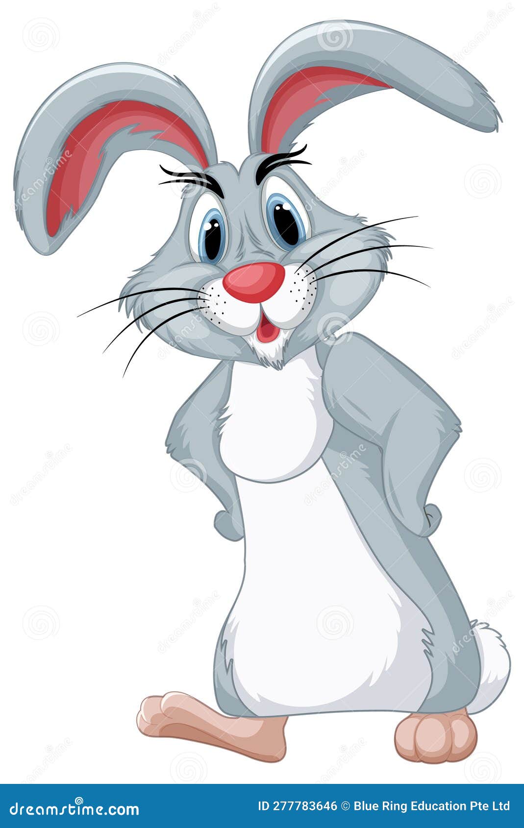 Rabbit Standing Cartoon Illustration Drawing White Background ...