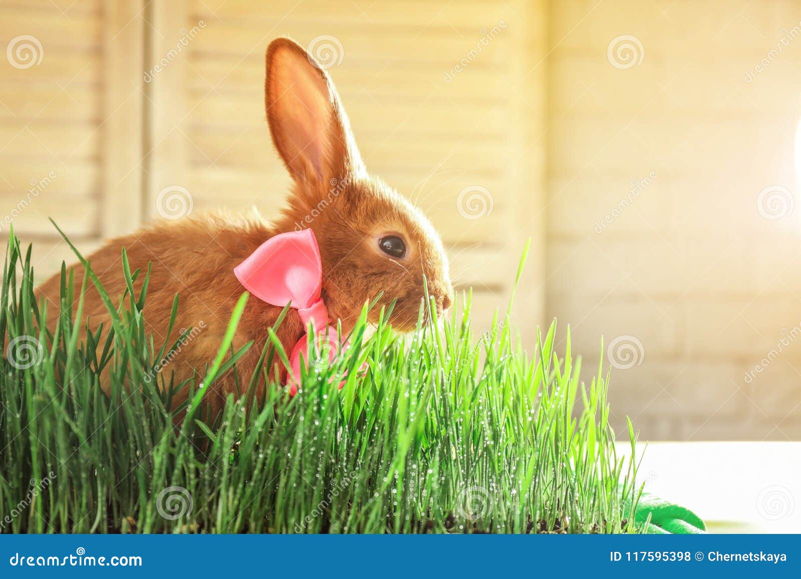 Adorable Red Bunny with Bow Stock Photo - Image of gift, fauna: 117595398