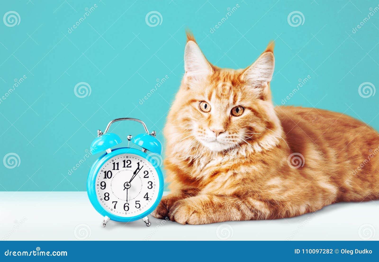 Adorable Red Cat with Clock on Table Stock Photo - Image of orange ...