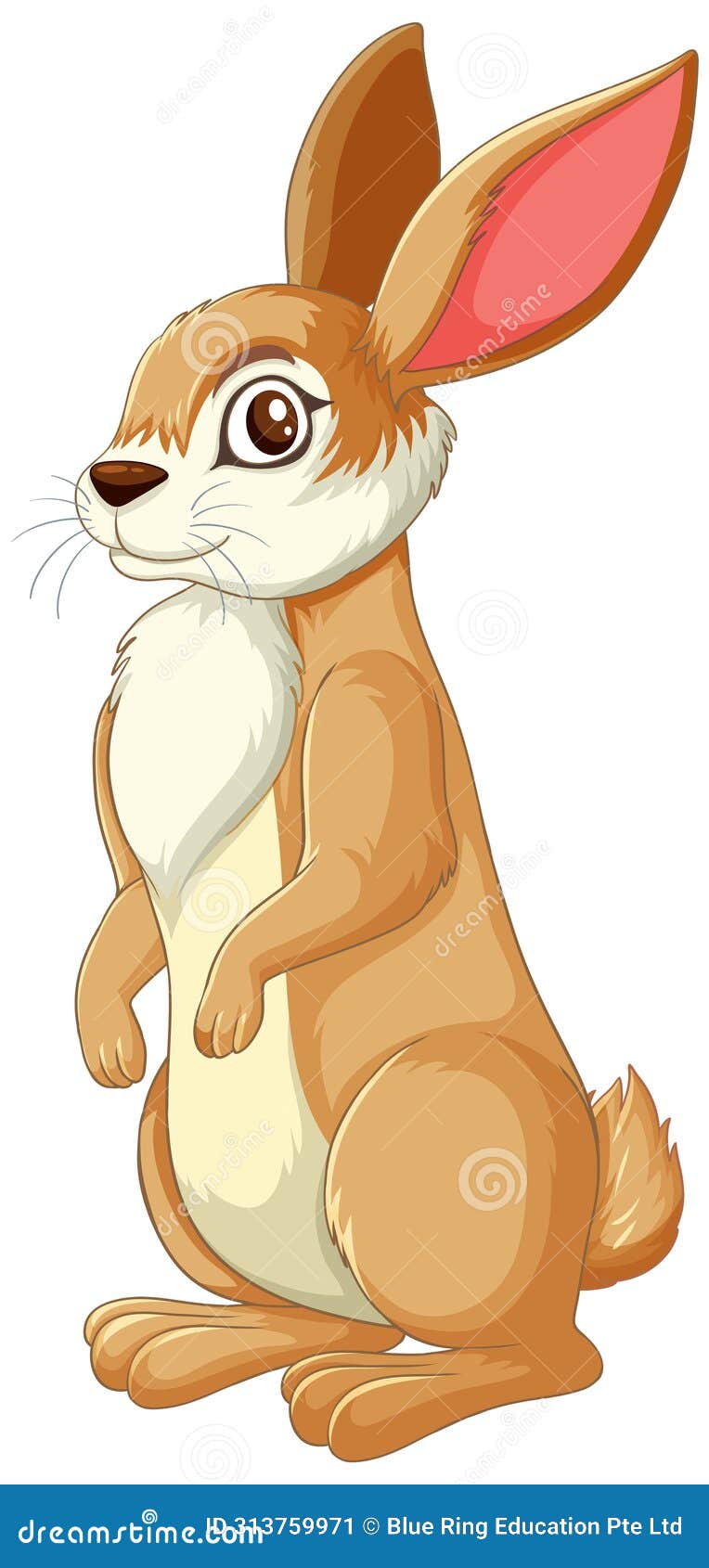 An Adorable Standing Rabbit Stock Vector - Illustration of cute, long ...