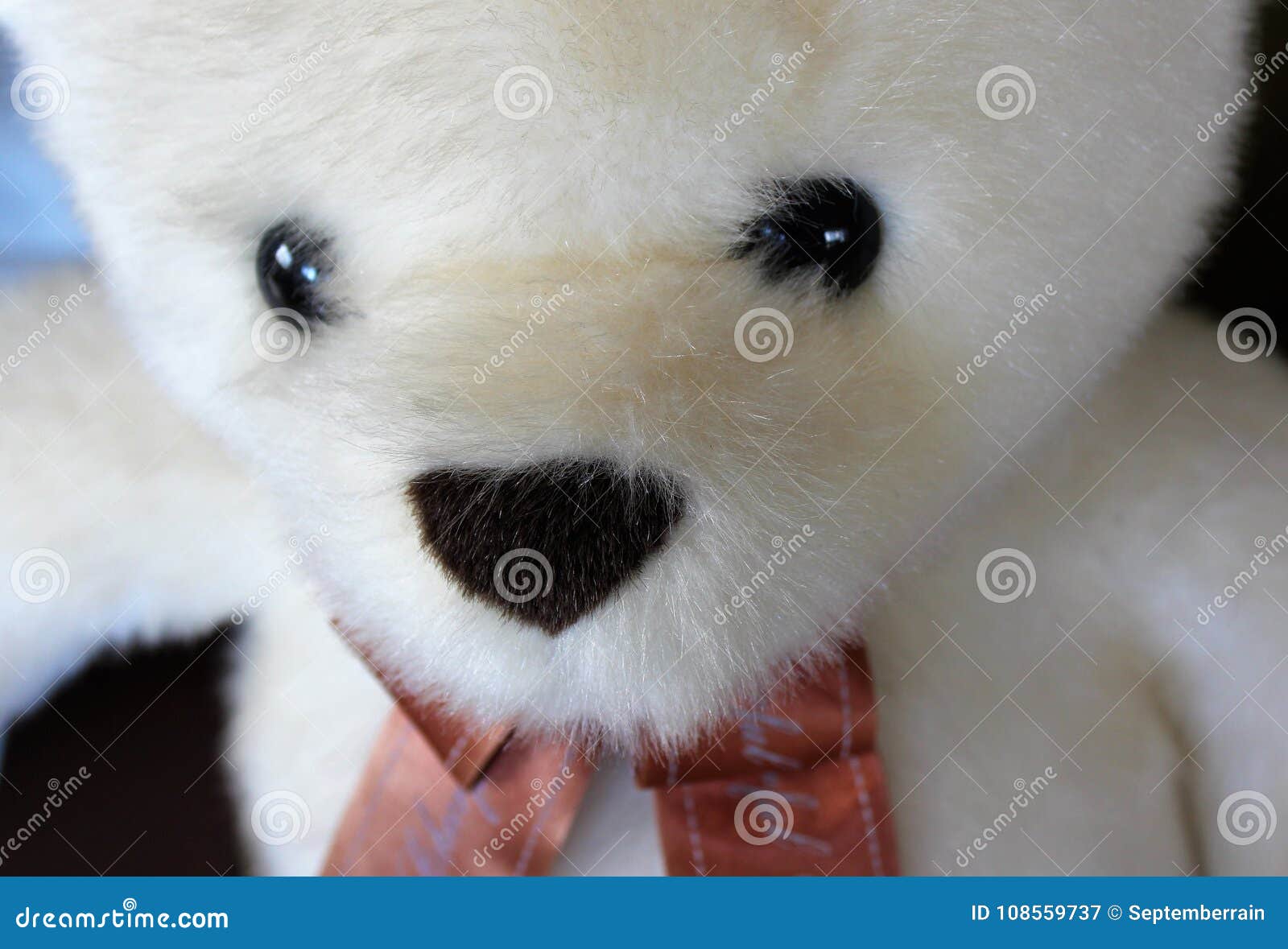 An adorable stuffed bear stock image. Image of eyes - 108559737