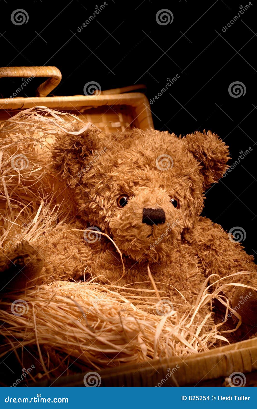 Adorable Teddybear in Basket Stock Photo - Image of conceptual, basket ...