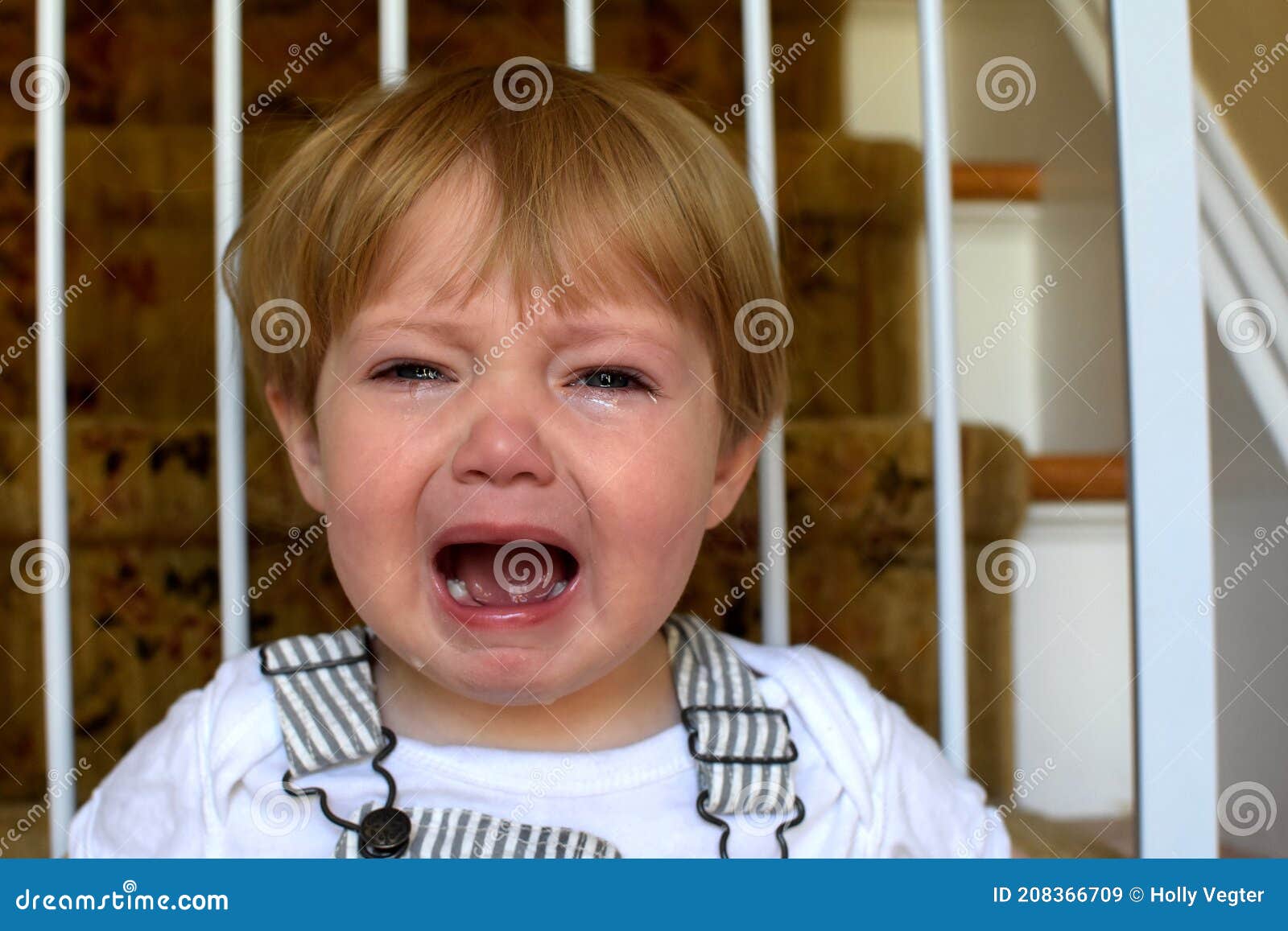 Adorable Toddler Boy Crying Stock Image - Image of tired, mouth: 208366709