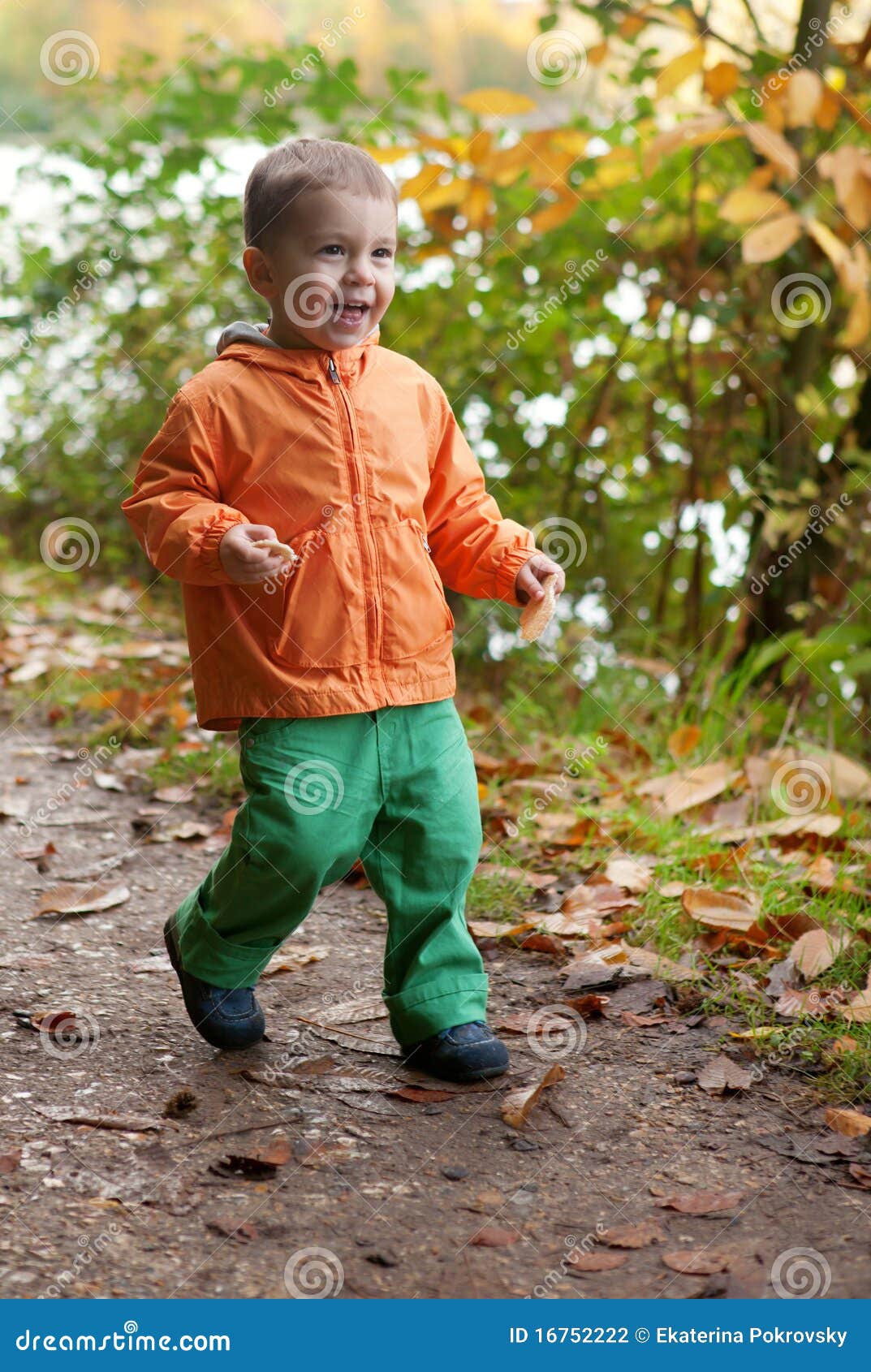 Adorable Toddler Boy at Fall Stock Photo - Image of seasonal, november ...