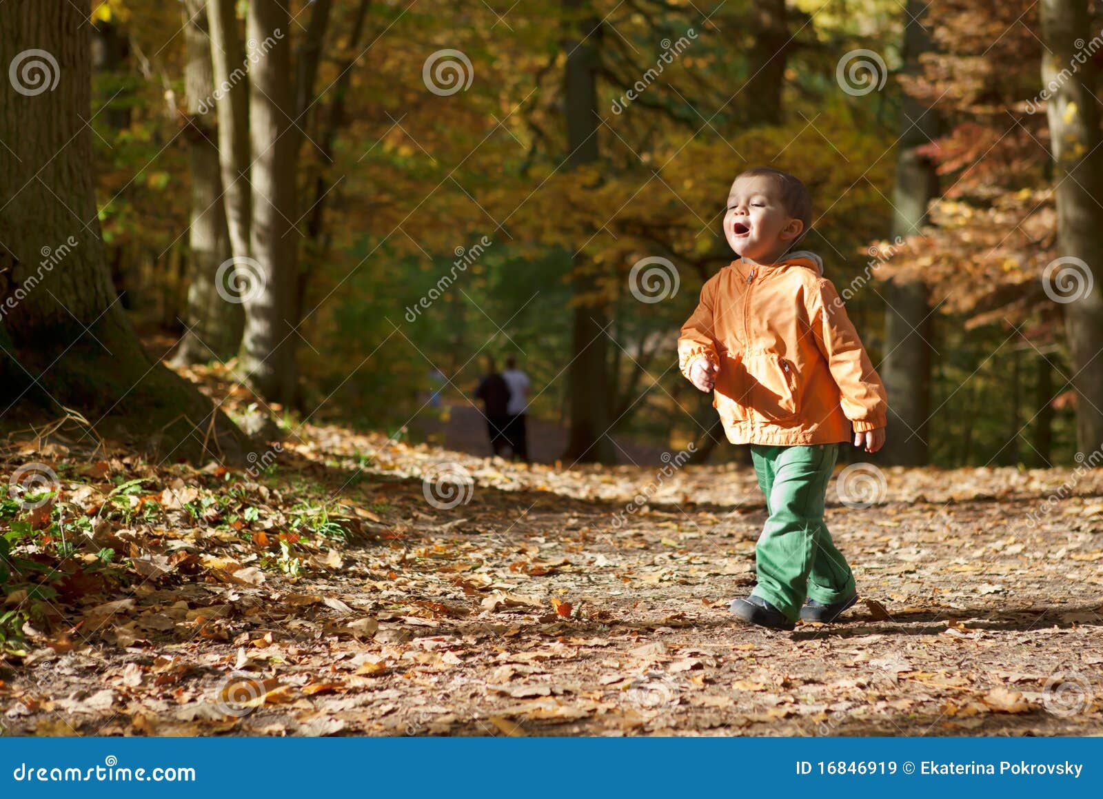 Adorable Toddler Boy at Fall Stock Image - Image of autumn, eyes: 16846919