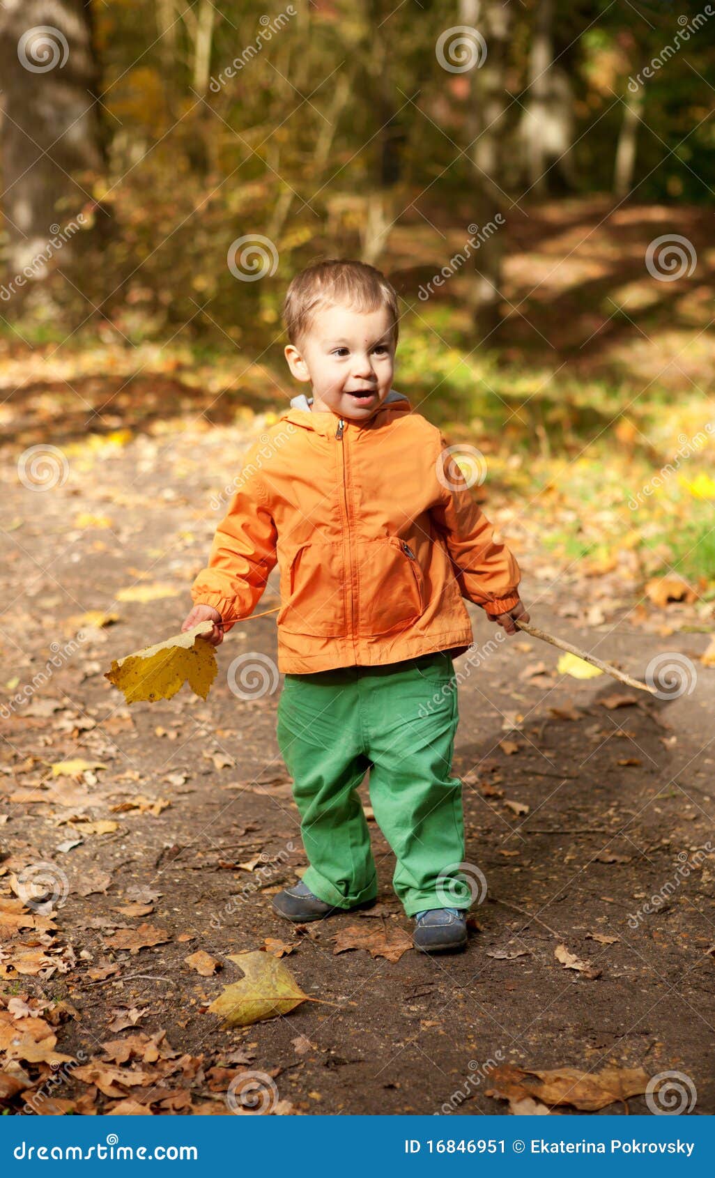 Adorable Toddler Boy at Fall Stock Image - Image of forest, stick: 16846951