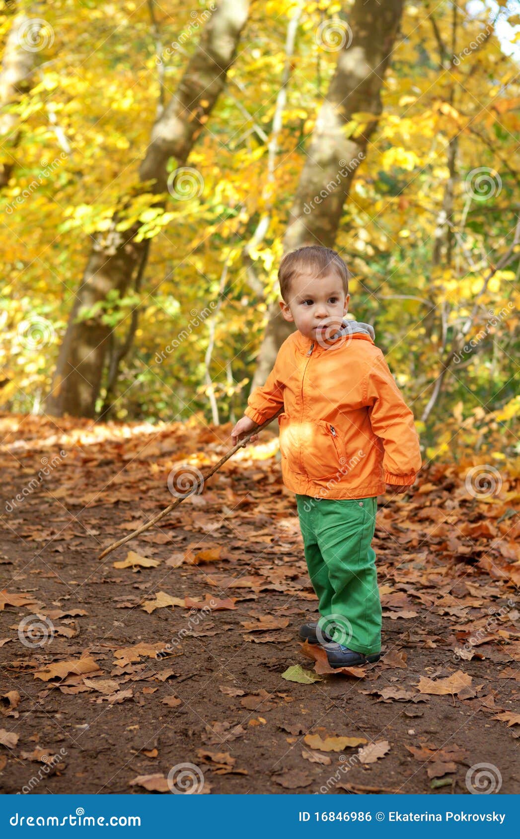 Adorable Toddler Boy at Fall Stock Photo - Image of caucasian, person ...