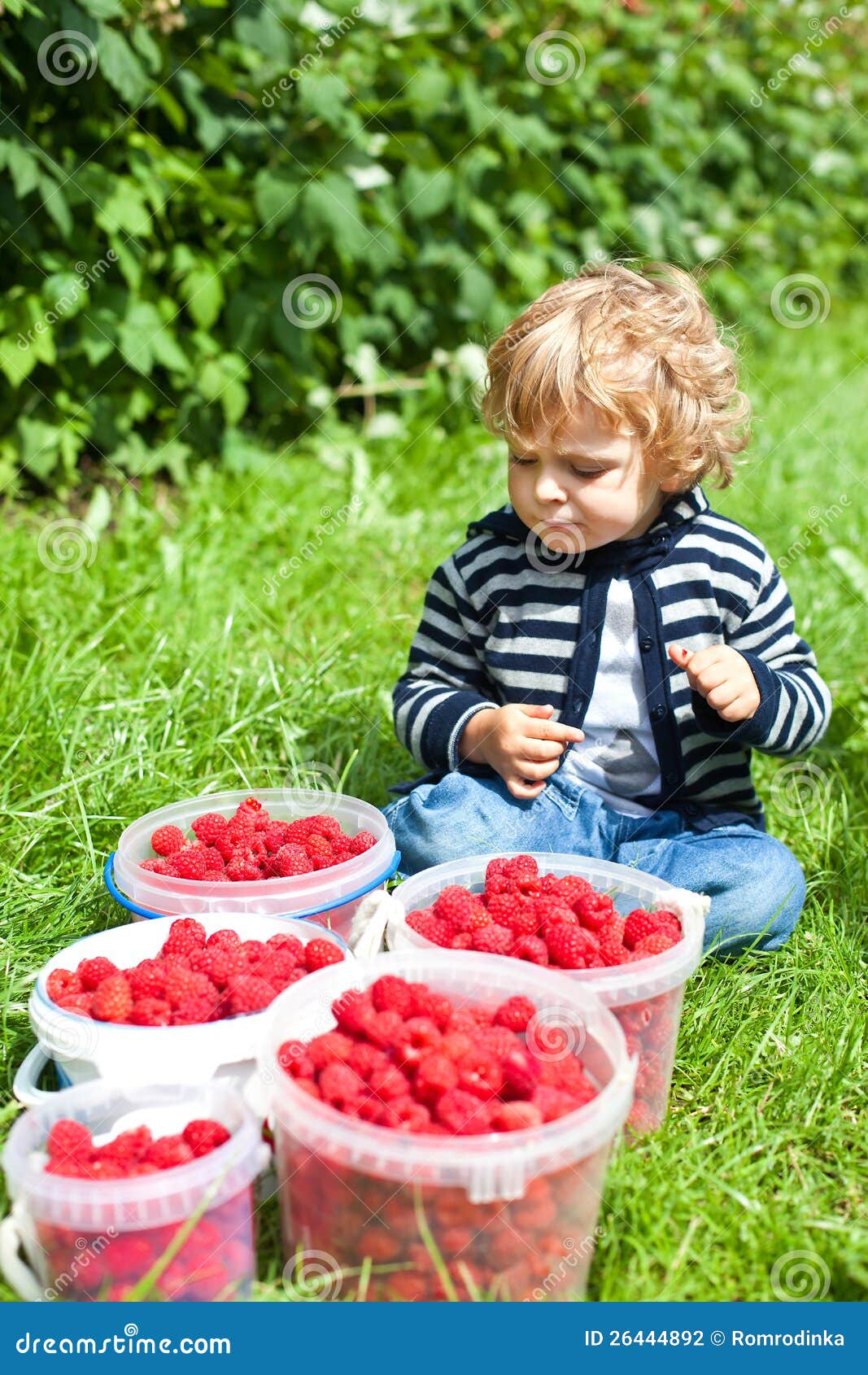 Adorable Toddler with Bucket of Raspberries Stock Photo - Image of ...