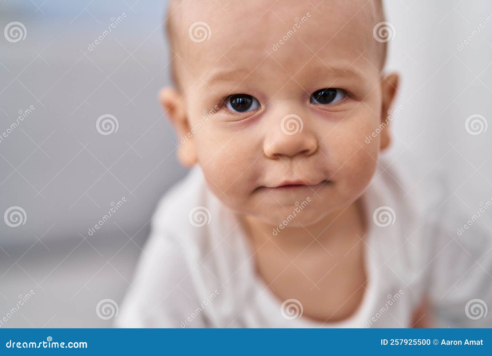 Adorable Toddler Crowling on Sofa at Home Stock Photo - Image of ...