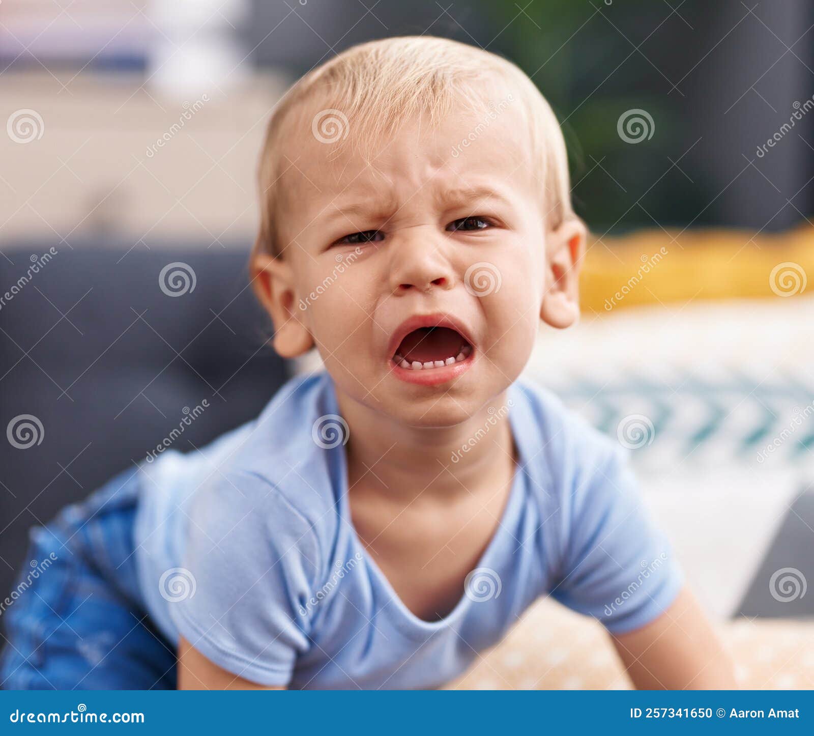 Adorable Toddler Sitting on Sofa Crying at Home Stock Photo - Image of ...