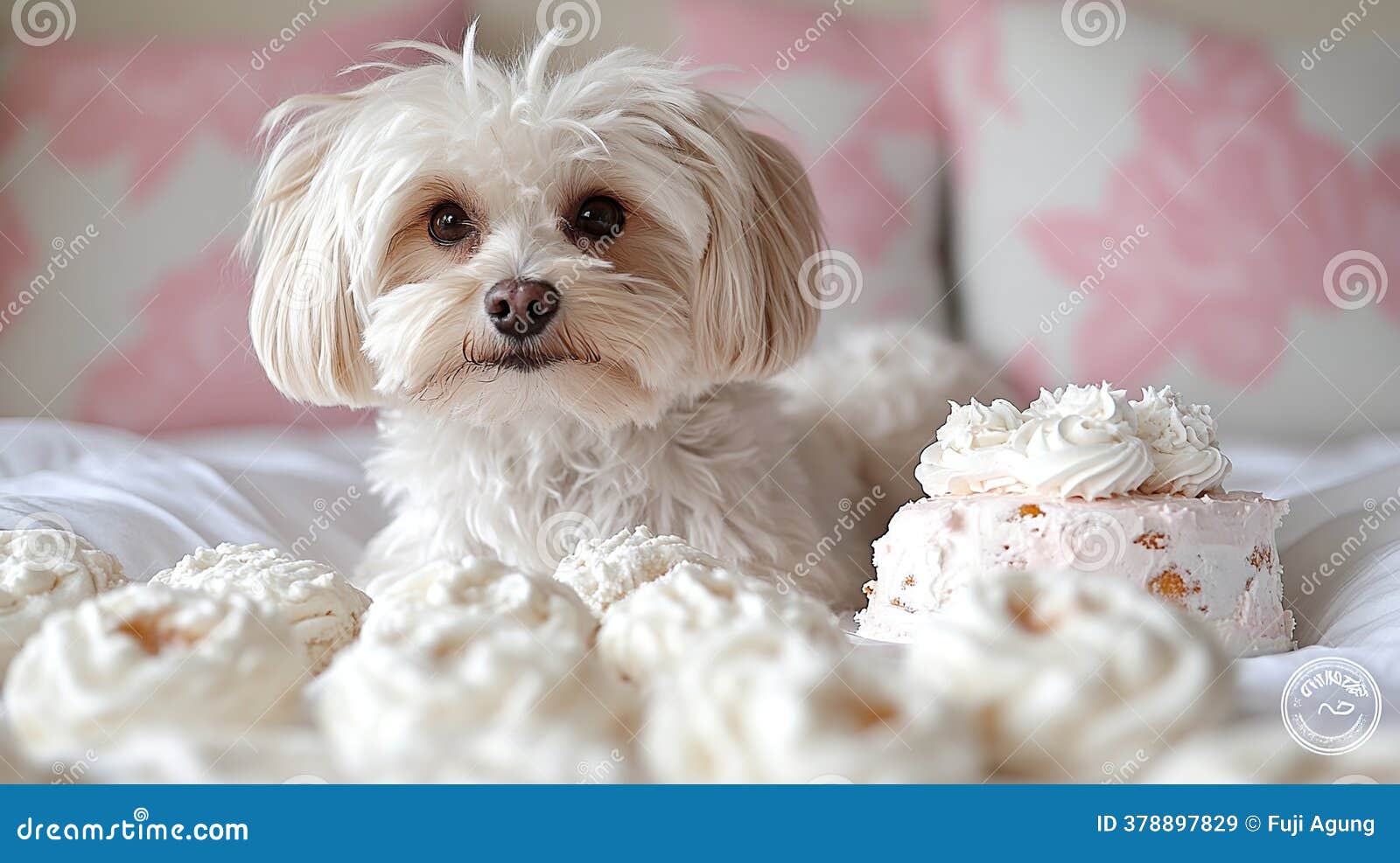 Small Cake Box Die Cut Template, Packaging Die Cut Template, 3d Box ...