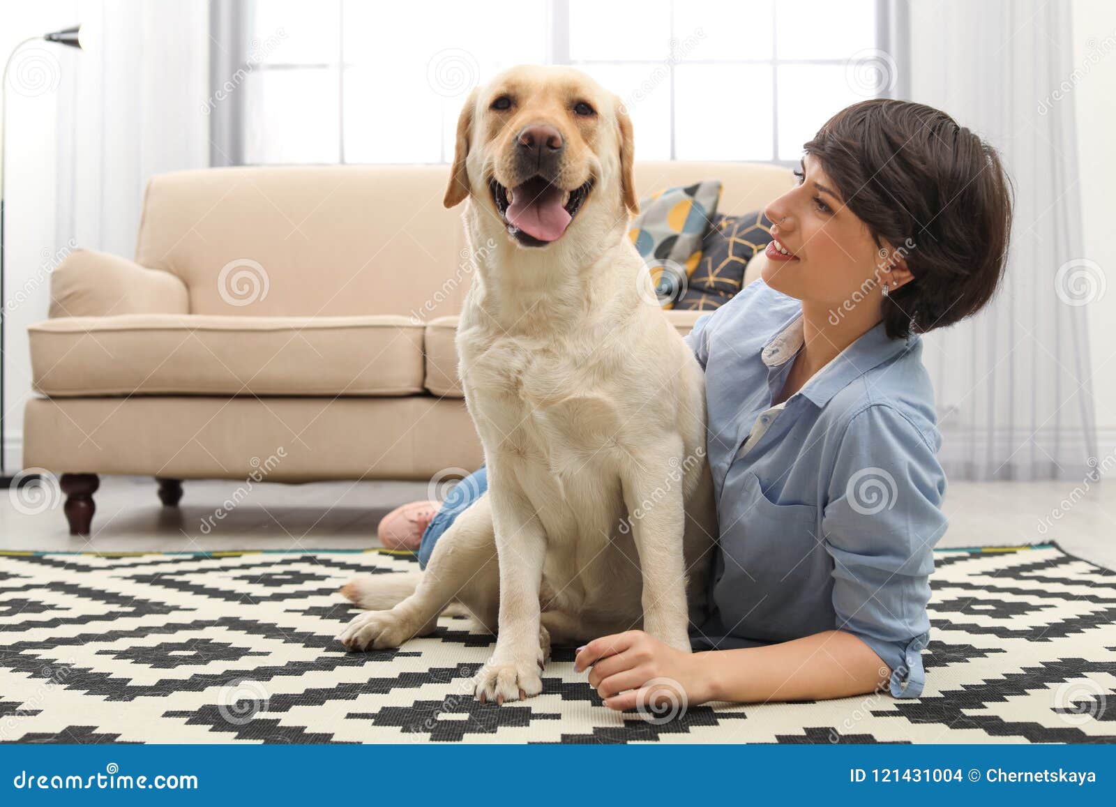 Adorable Yellow Labrador Retriever with Owner Stock Photo - Image of ...
