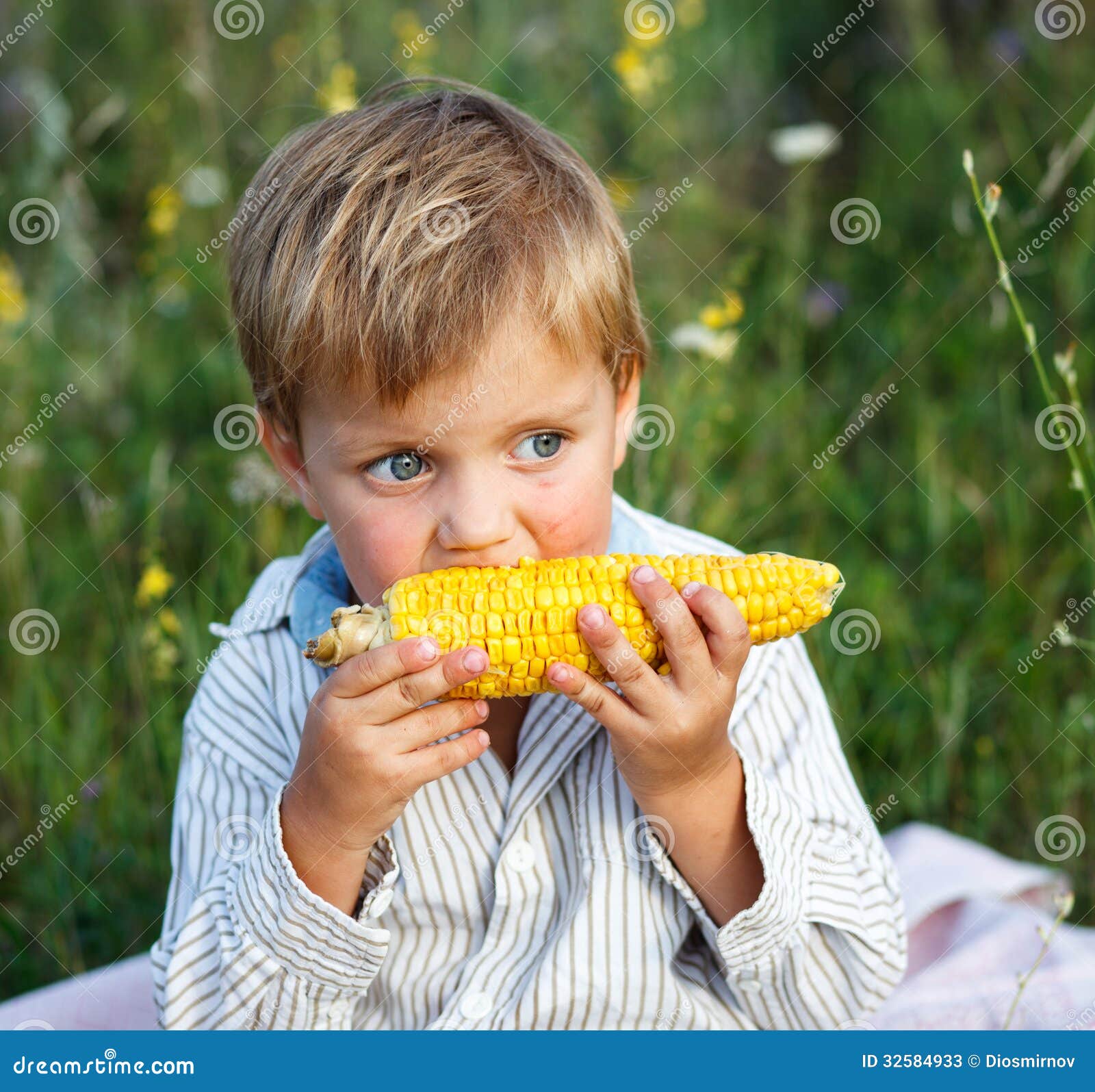 Adorable Young Boy Eating Corn on the Cob Stock Image - Image of grass ...