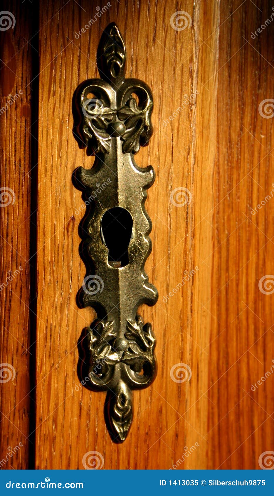 Adornado imagen de archivo. Imagen de acceso, estilo, roble - 1413035