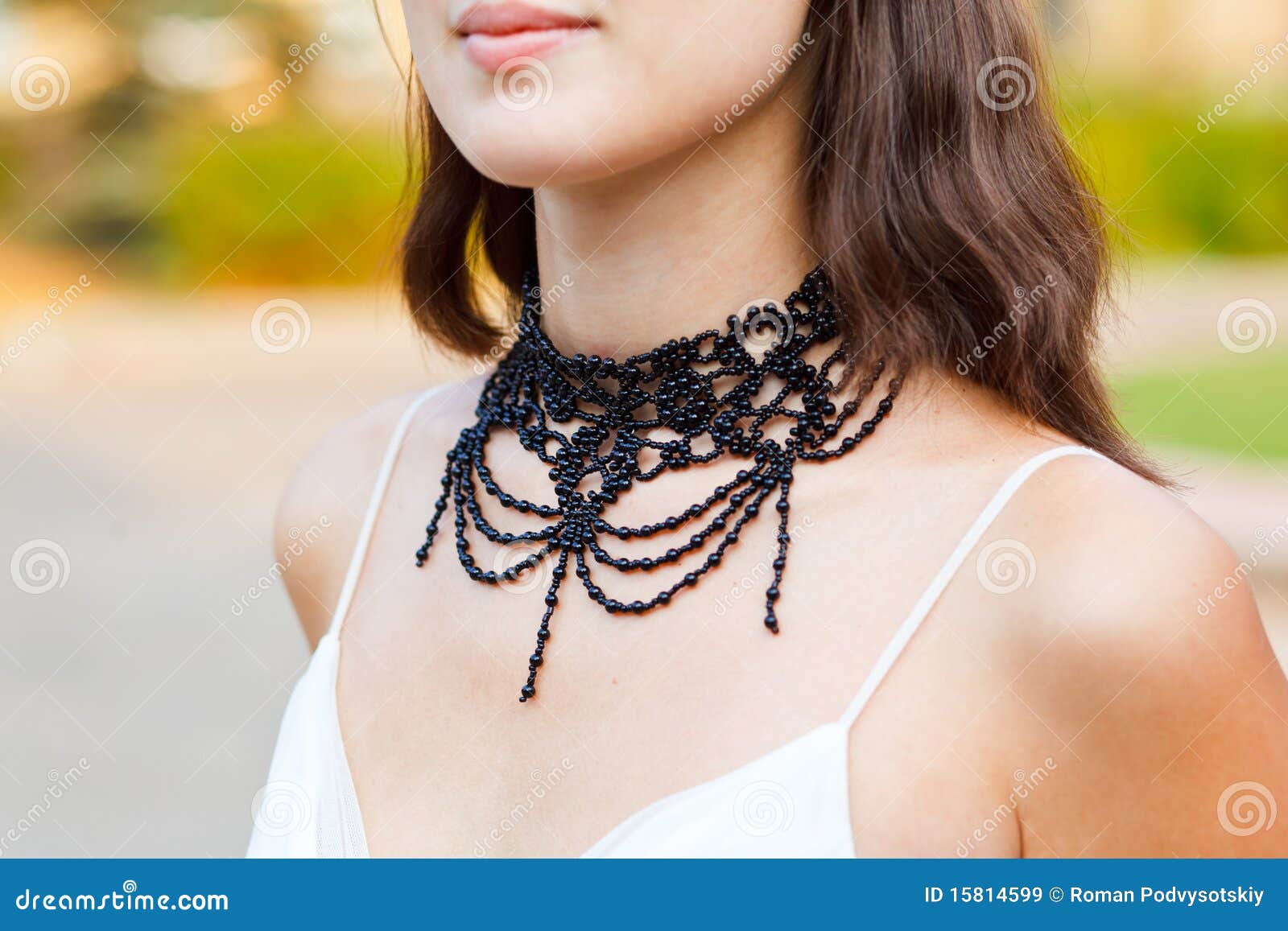 Adornment on Neck of Young Woman Stock Image - Image of collet ...