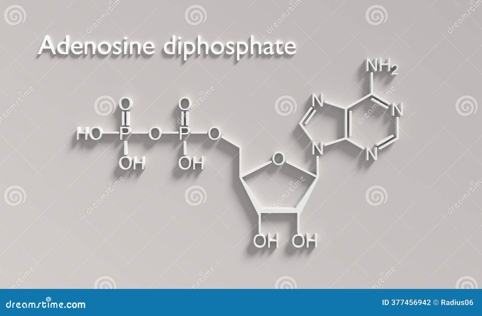 Adenosine Molecule Write On The White Board. Structural Chemical ...