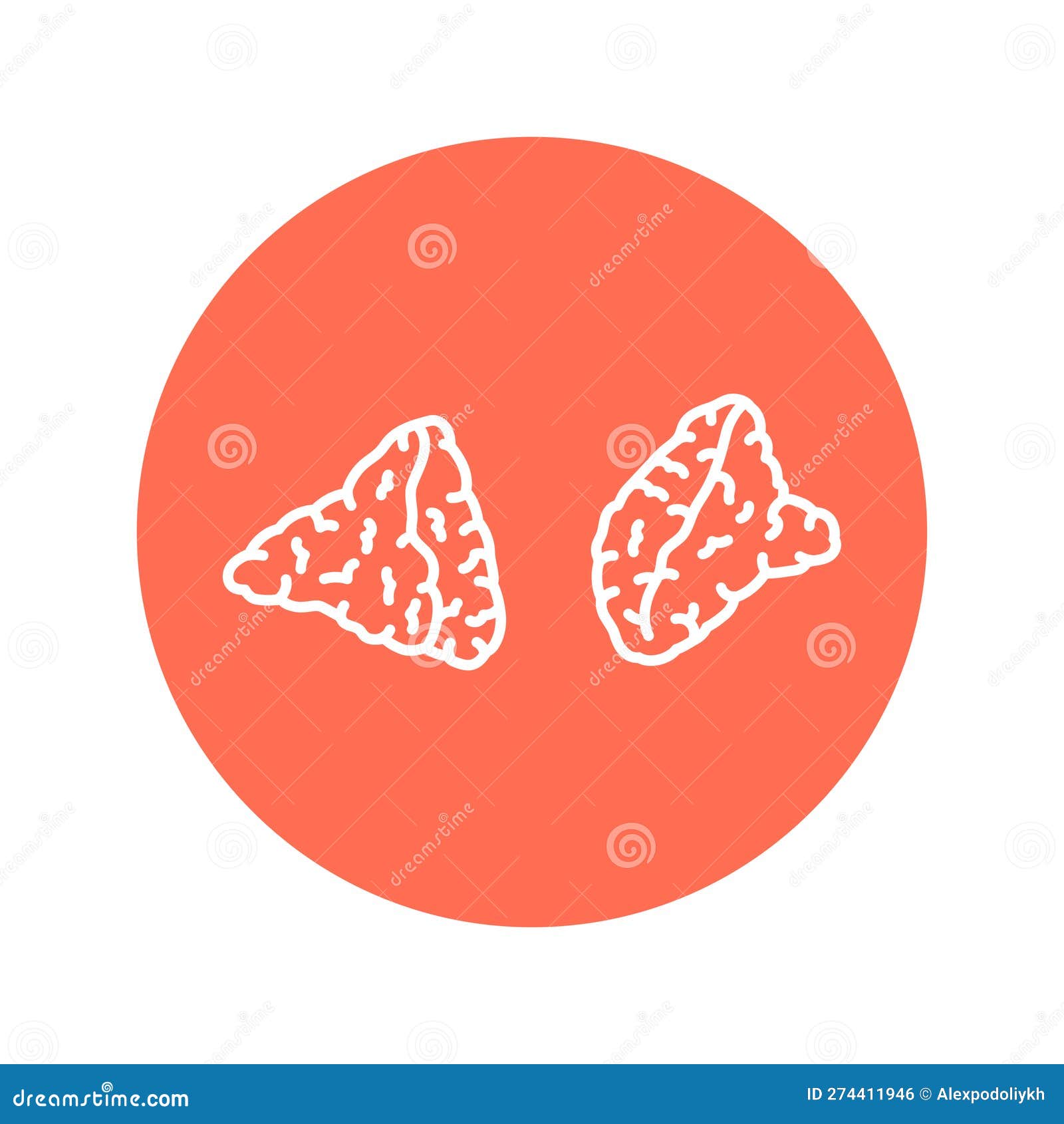 Adrenal Glands Color Line Icon. Endocrine System Stock Illustration ...