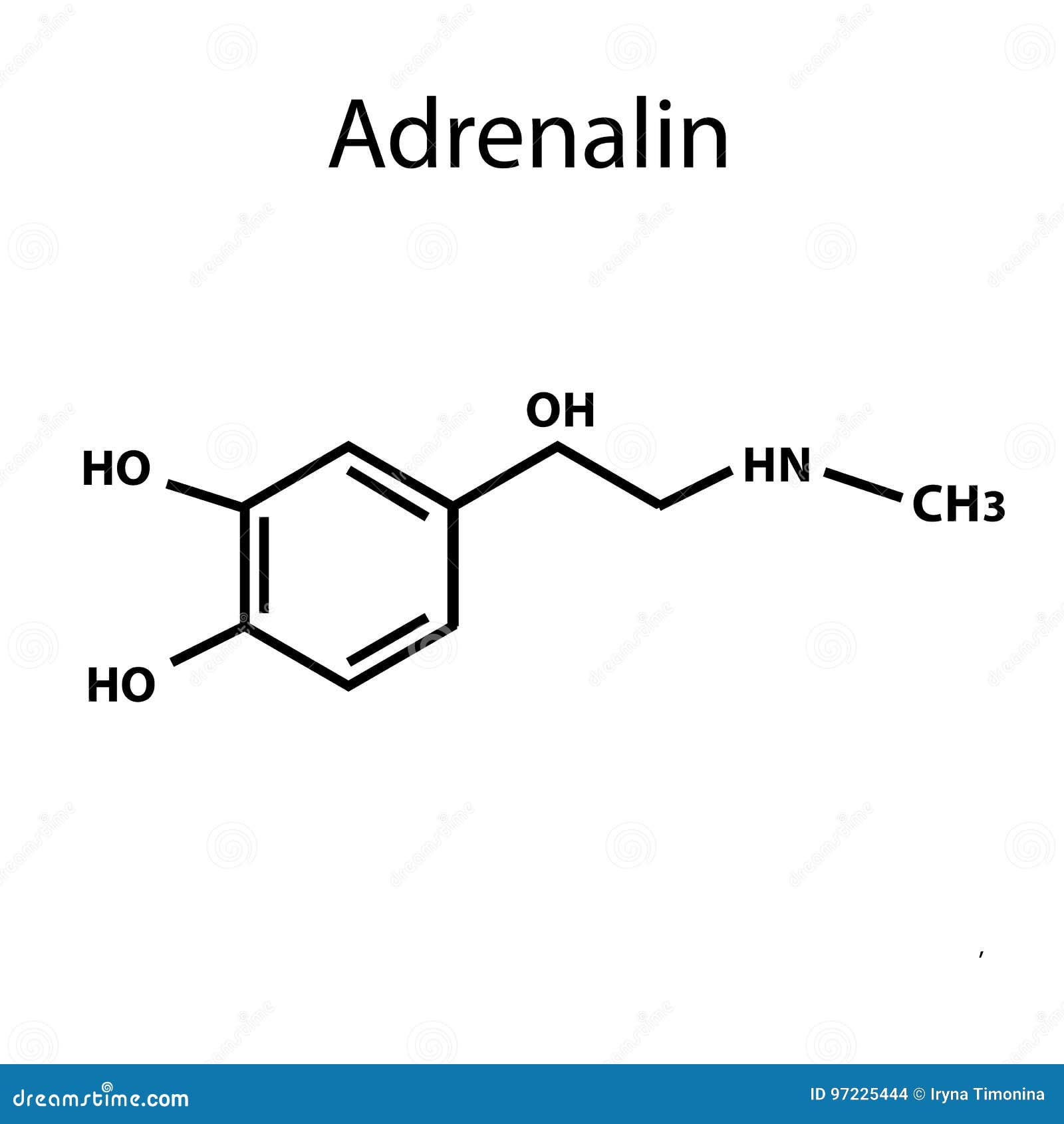 Adrenaline Hormone Molecular Formula. Human Body Hormones Symbol ...
