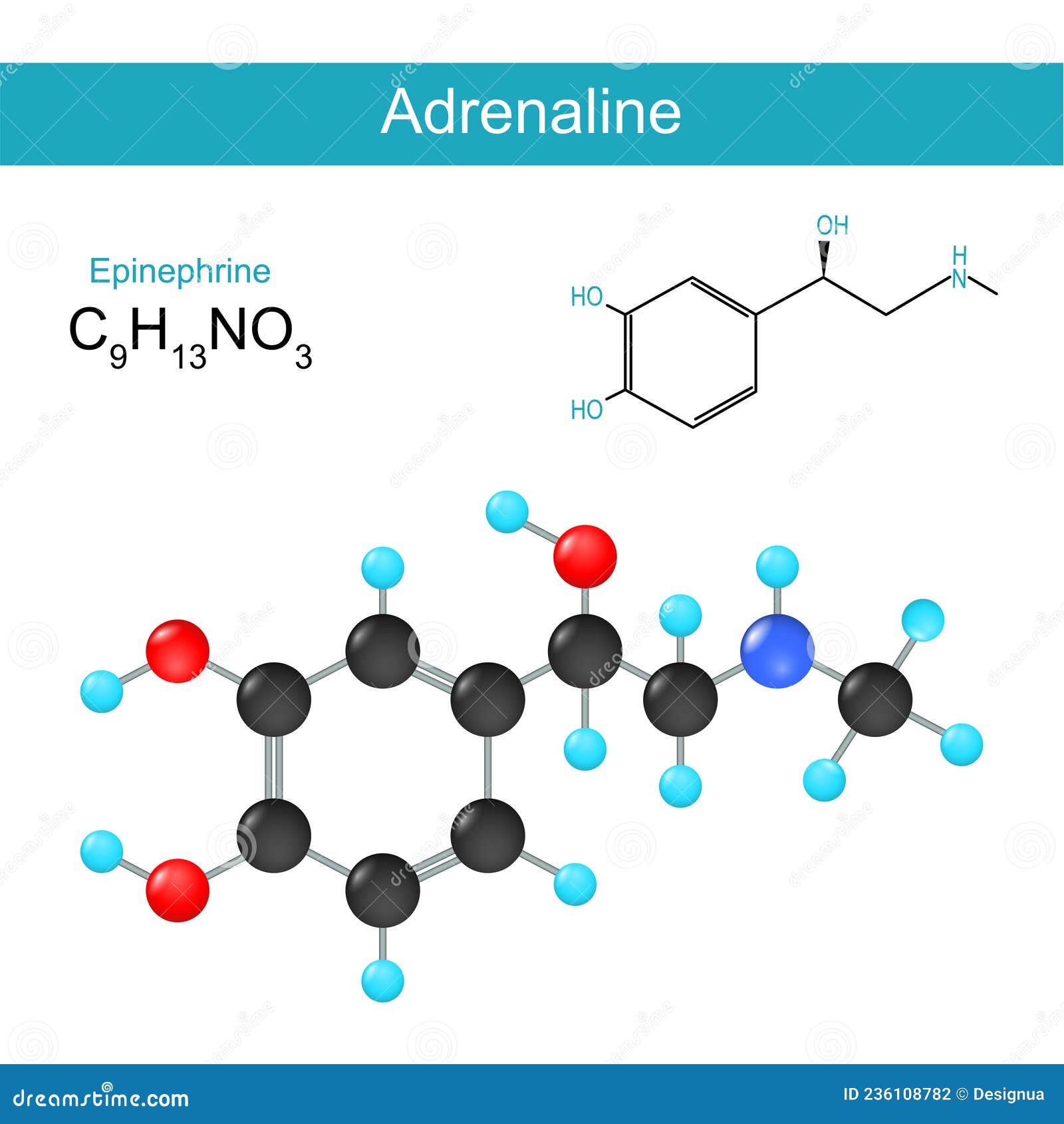 Adrenaline Molecular Chemical Structural Formula Stock Vector ...