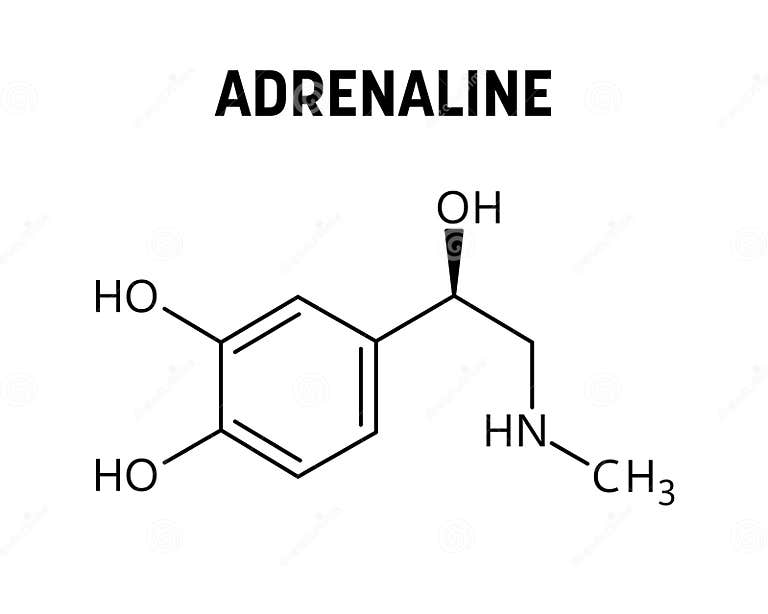 Adrenaline Structural Formula of Molecular Structure Stock Vector ...