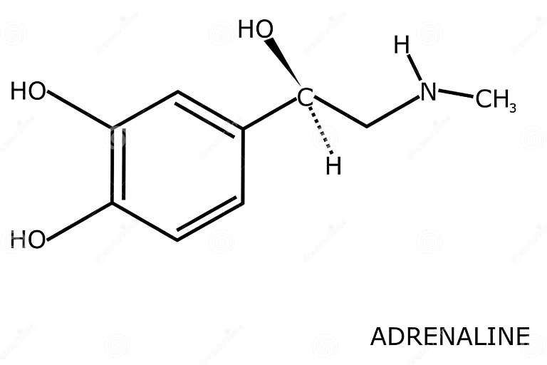Adrenaline Molecule Structure with Its Name Isolated on White ...