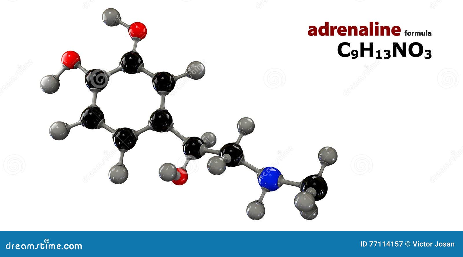 Adrenaline Neurotransmitter Molecule Stock Illustration - Illustration ...