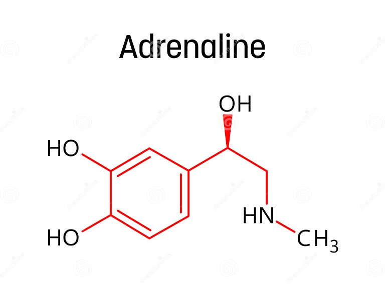 Adrenaline Structural Formula of Molecular Structure Stock Vector ...