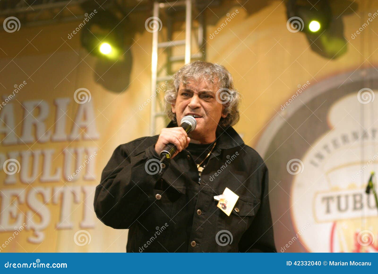 Adrian Pintea image éditorial. Image du verticale, acteur - 42332040