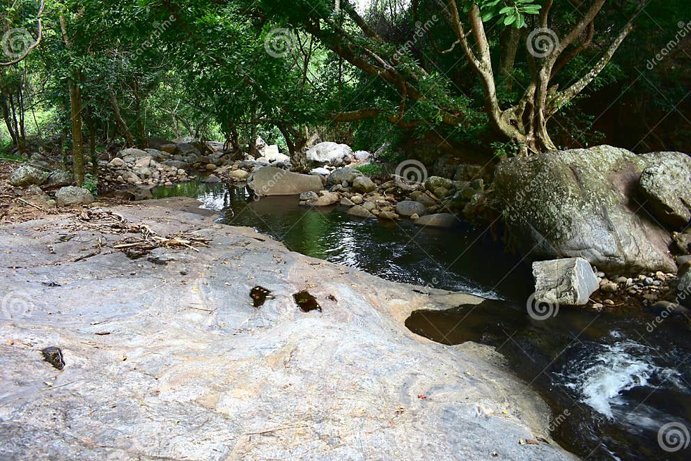 Adukamm Waterfalls and the Pambar River Stock Image - Image of coffee ...