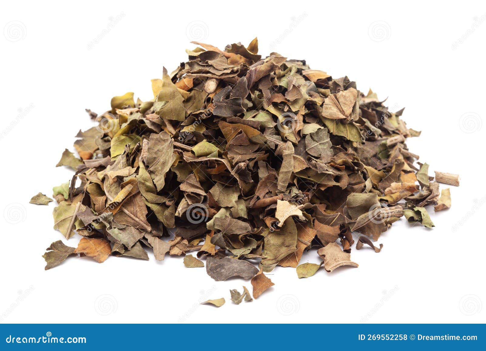 Closeup of Dry Adulsa Leaves, Isolated on White Background. Stock Photo ...