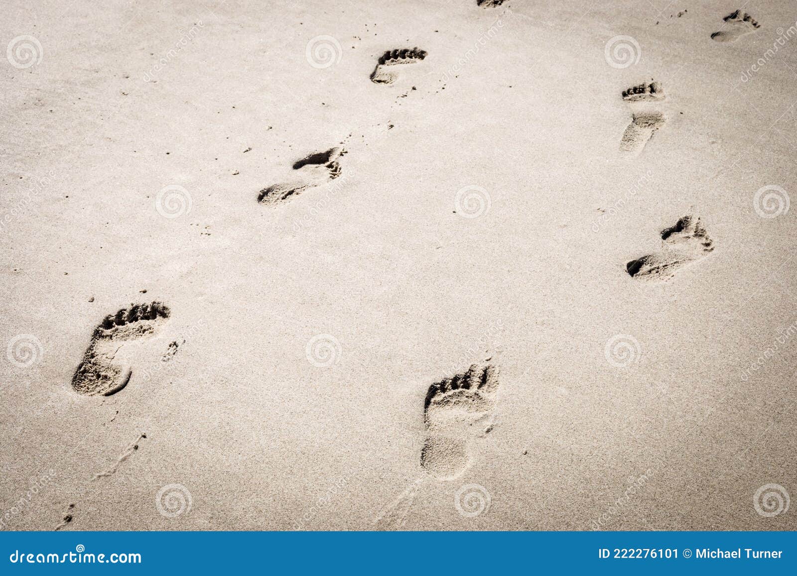 Adult Barefoot Footsteps on a Sandy Beach Stock Image - Image of ...