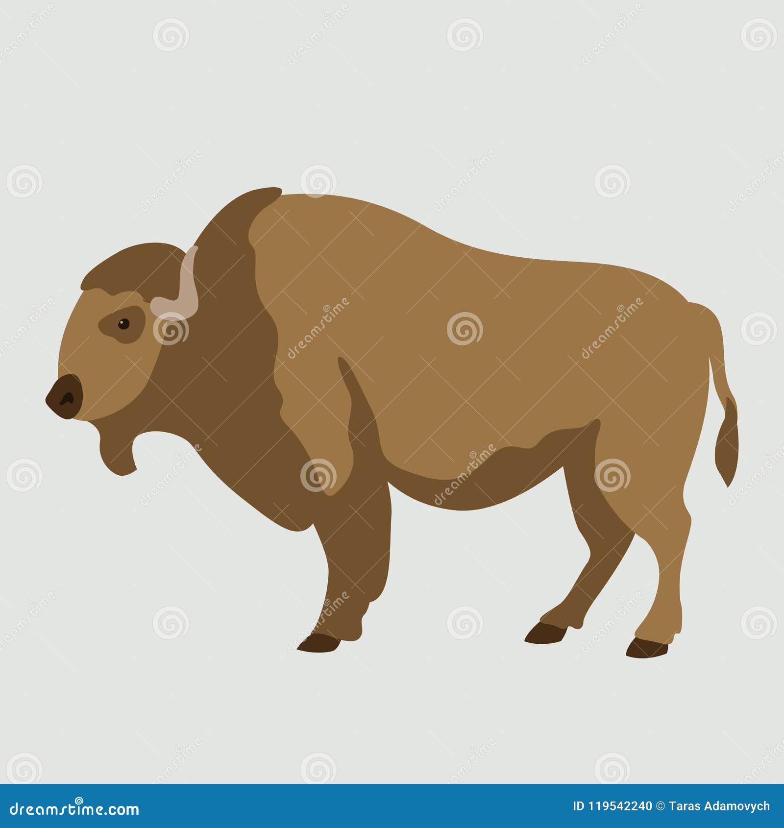 Adult Buffalo Vector Illustration Flat Style Profile Stock Vector ...