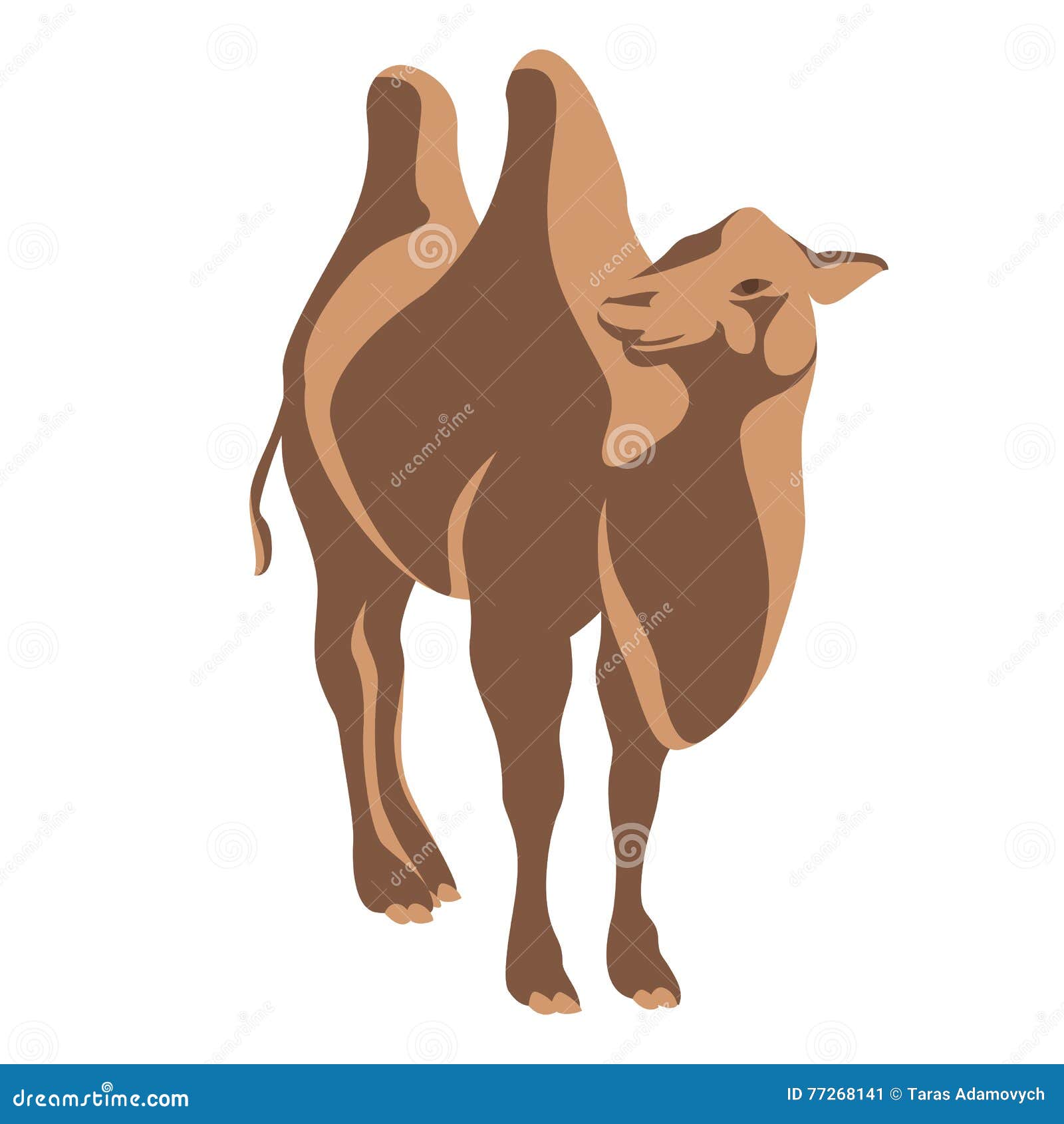 Adult Camel Vector Style Flat Stock Vector - Illustration of decoration ...
