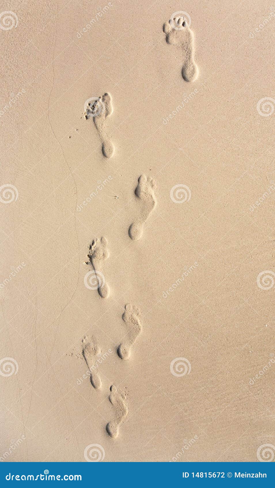 Adult Footprint in the Fine Sand at the Beach Stock Photo - Image of ...
