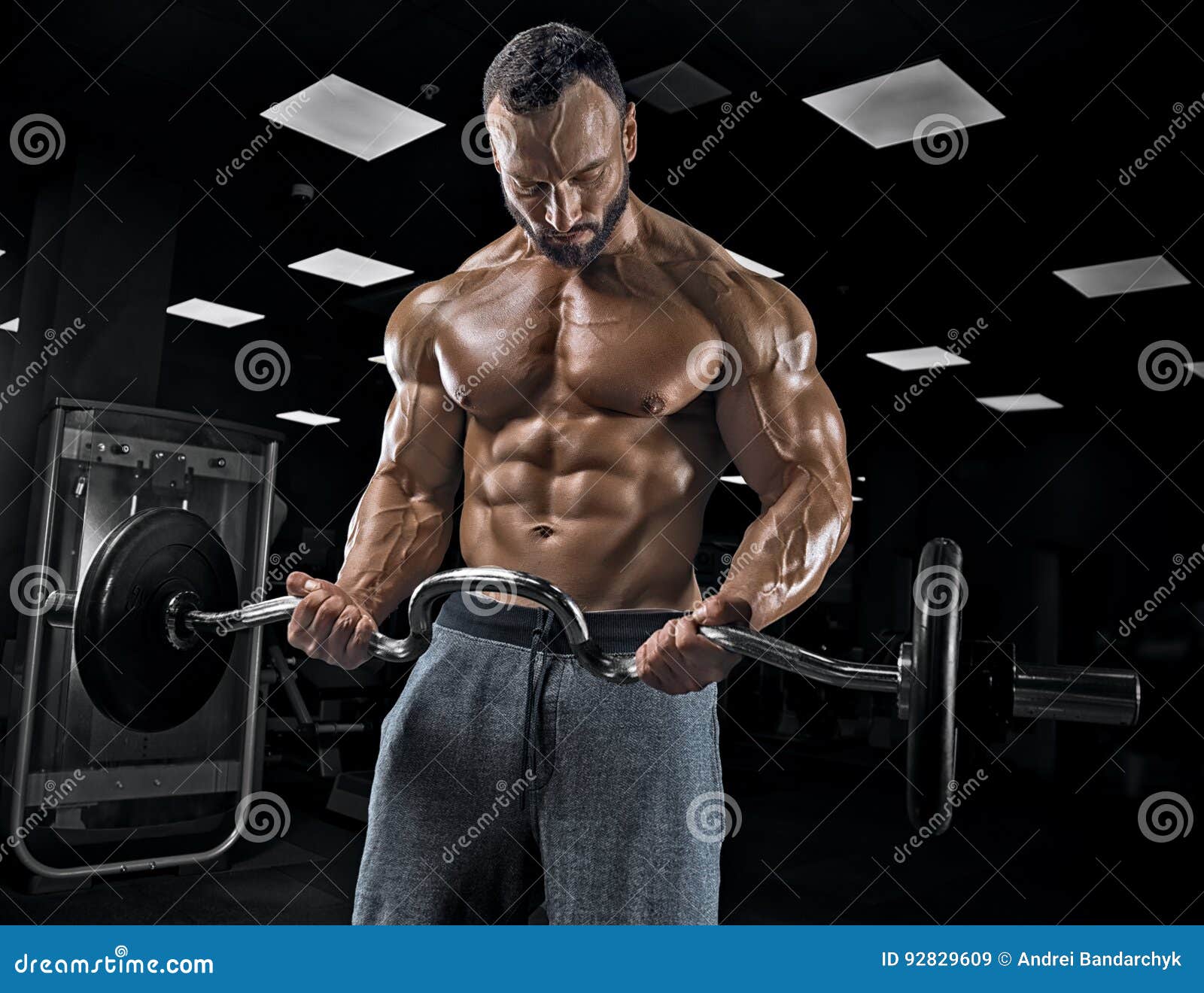 Adult Guy Bodybuilder Posing in Gym Stock Image - Image of equipment ...