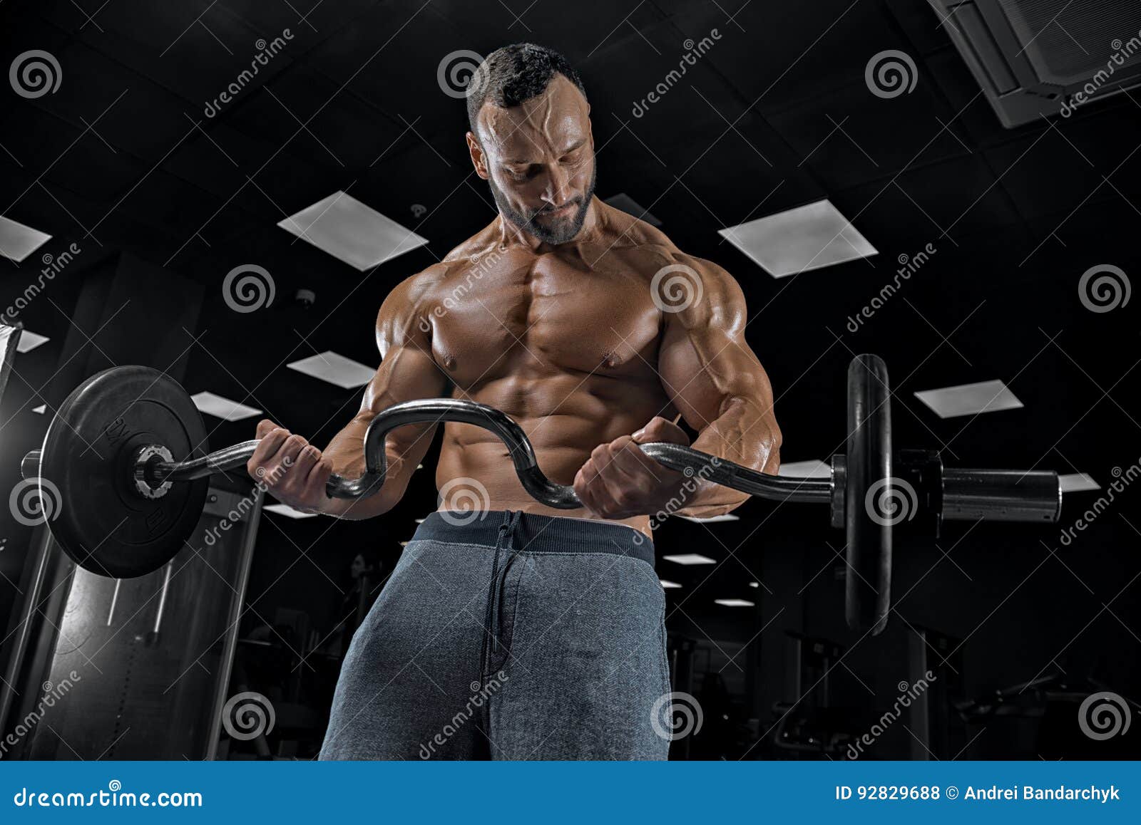 Adult Guy Bodybuilder Posing In Gym Stock Photo - Image of people ...