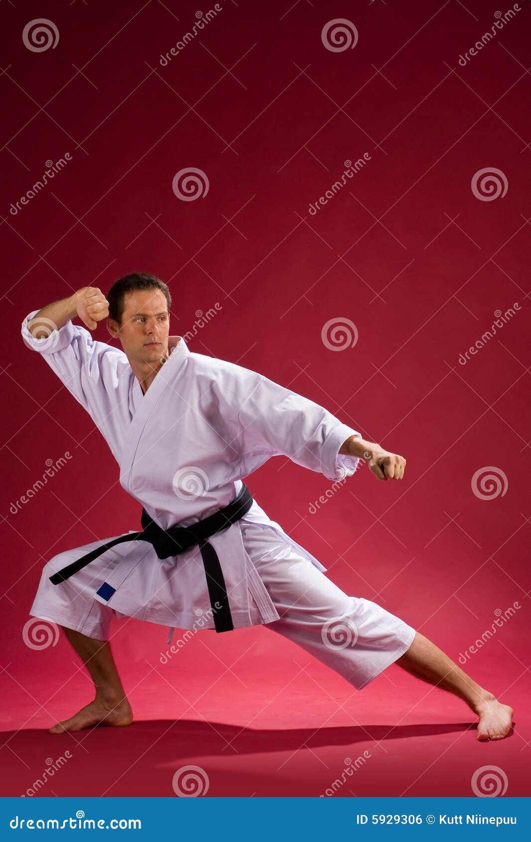 Black Red Belt TaeKwonDo Karate Male Athlete Man Show Traditional ...