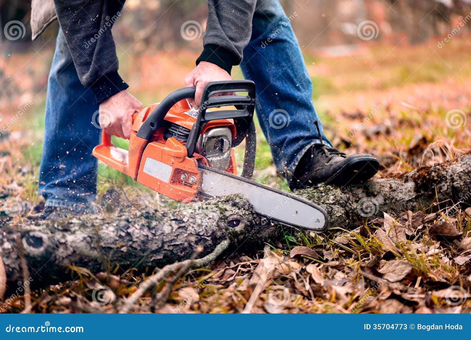 Adult Man Cutting Trees with Chainsaw and Tools Stock Image - Image of ...