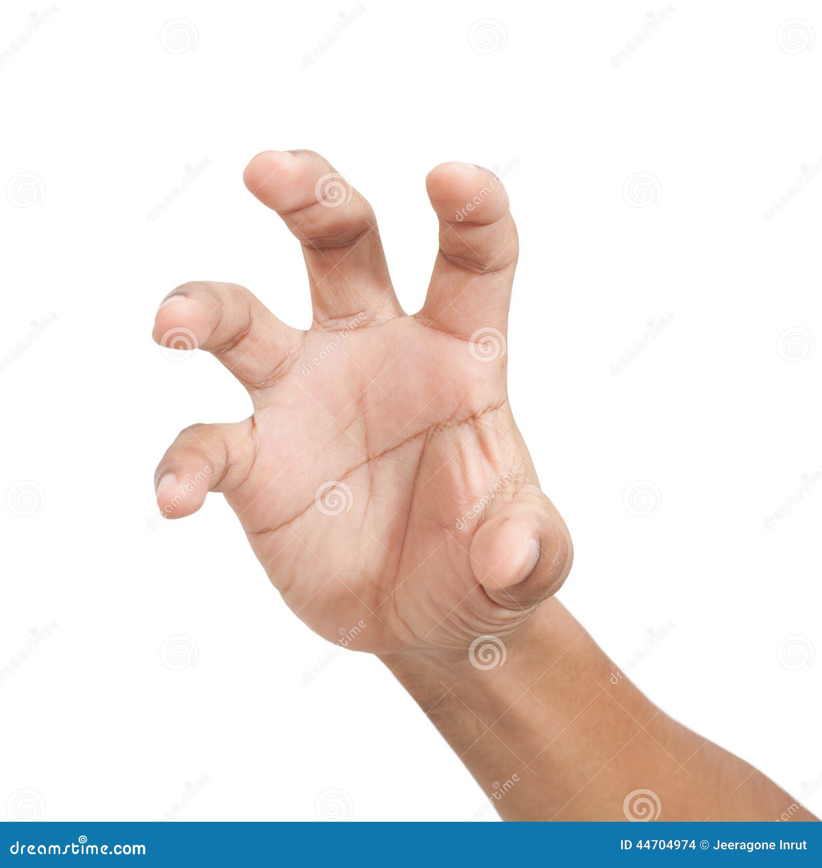 Adult man hand stock photo. Image of hand, studio, male - 44704974