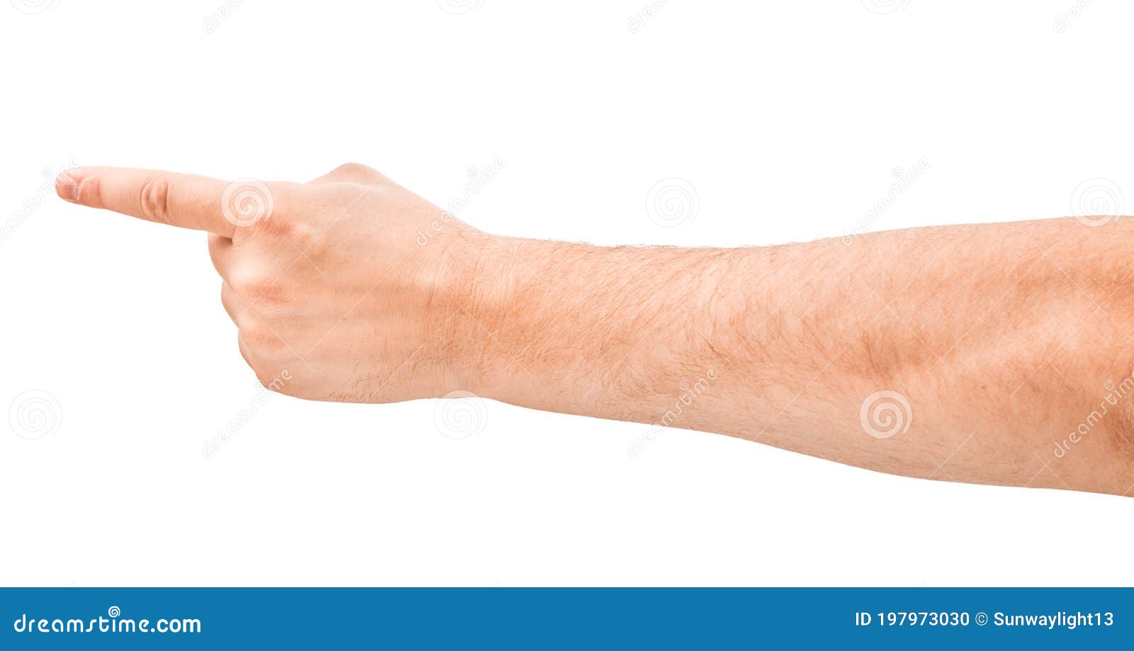 Adult Man Hand Show Direction, Isolated on White Stock Photo - Image of ...